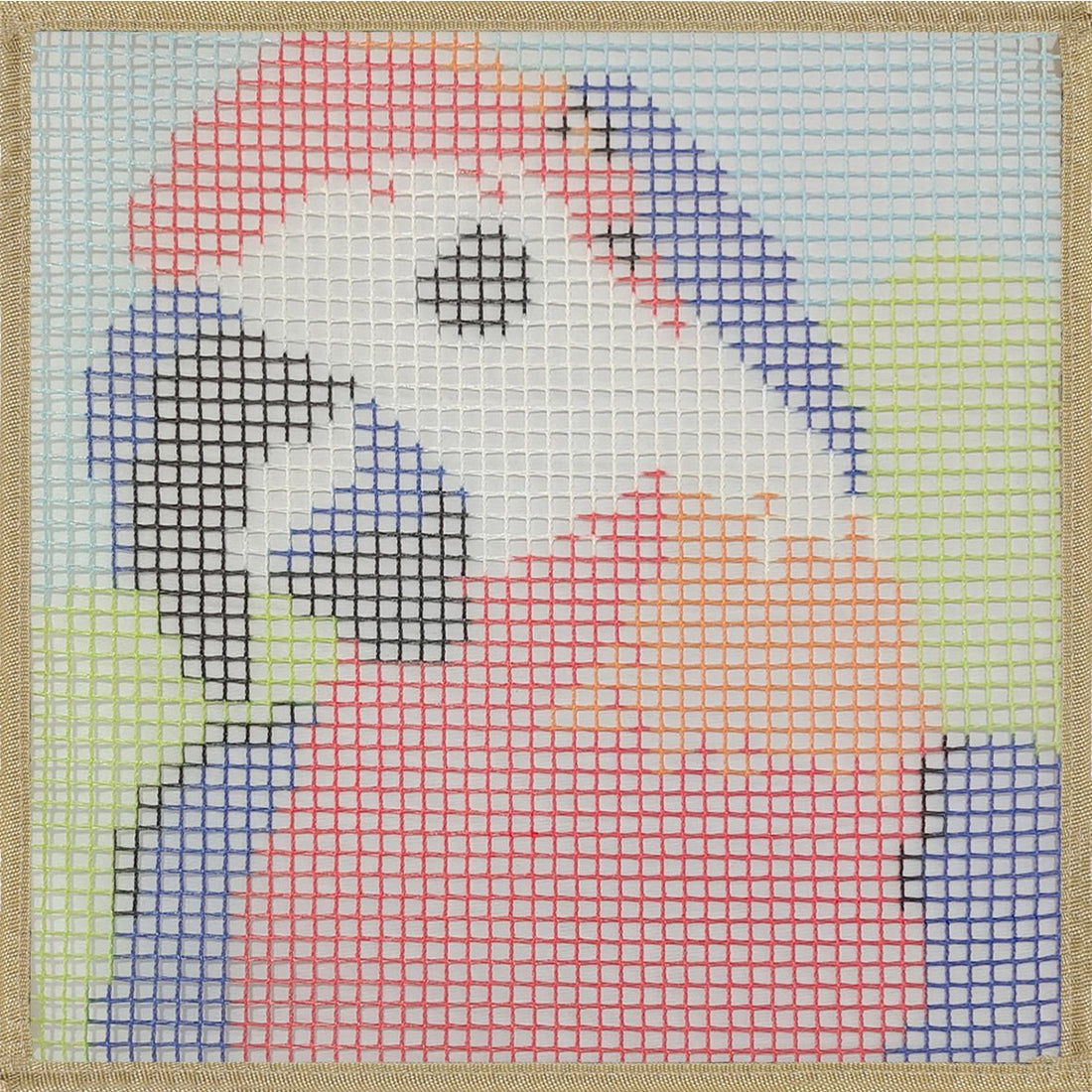 Clever Parrot Latch Hook Making Kit For Kids – Latch Hook Crafts